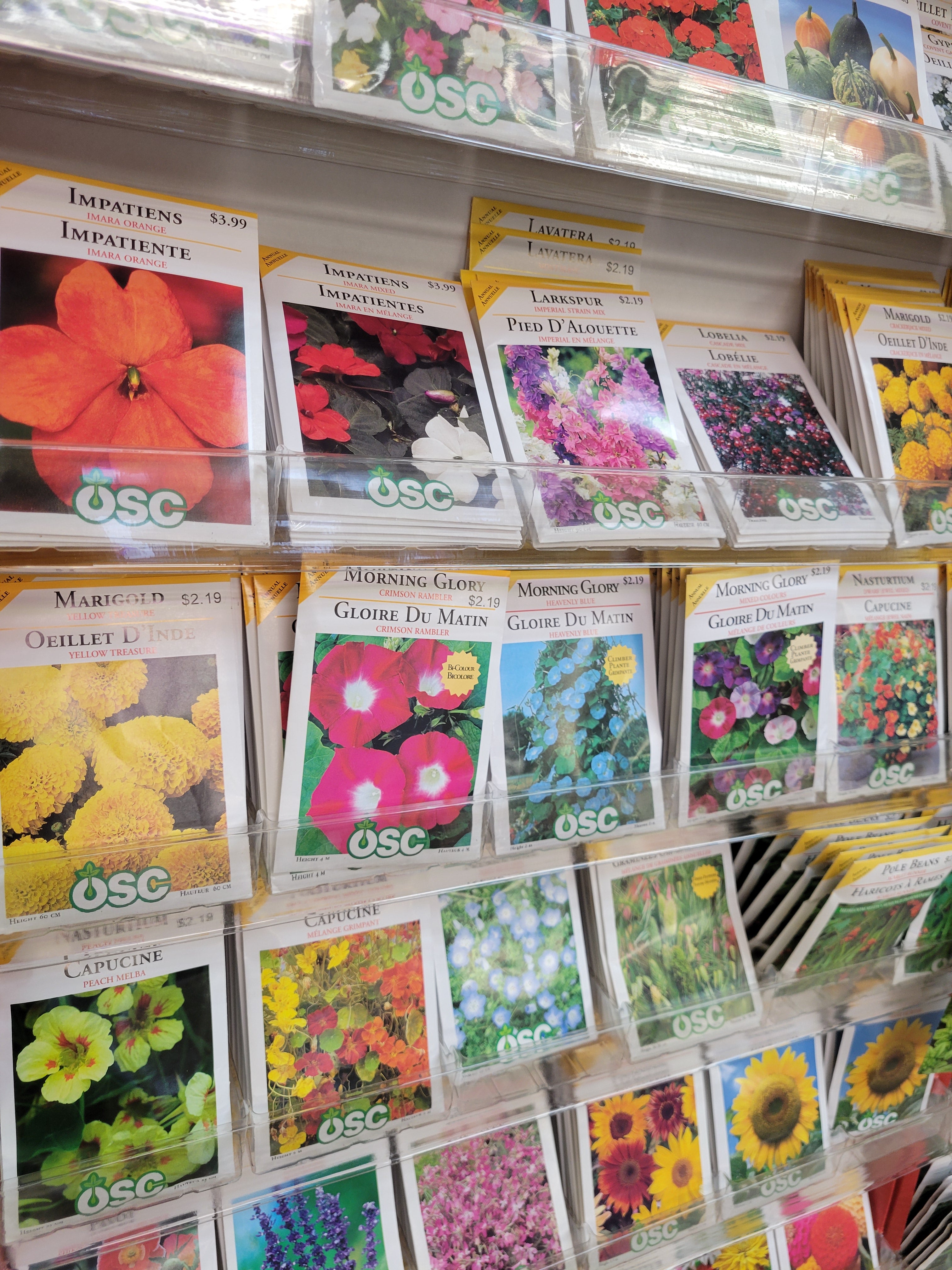 Seeds – WINONA GARDENS